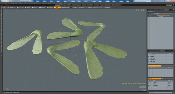 Green Maple Seeds 3D model - TurboSquid 1838652