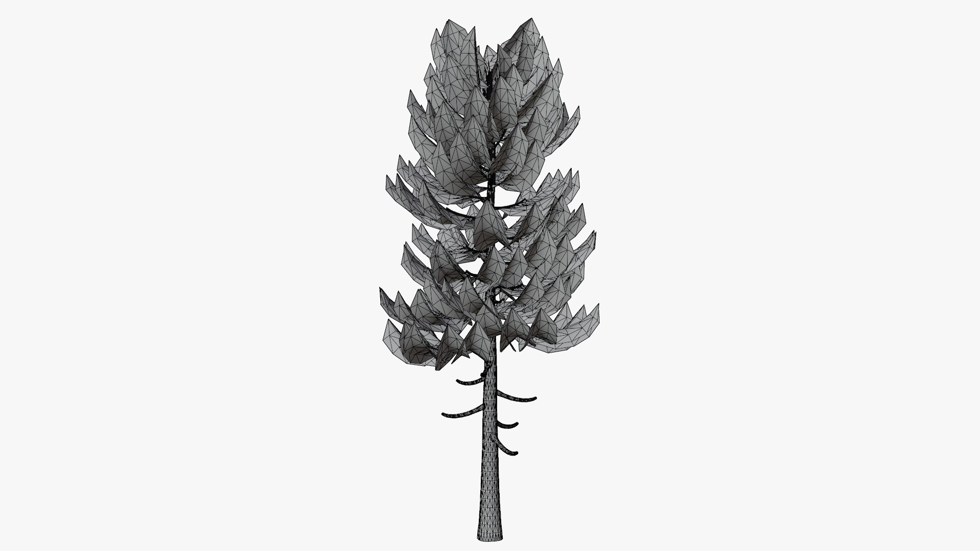 Pine v5 3D model - TurboSquid 2145063