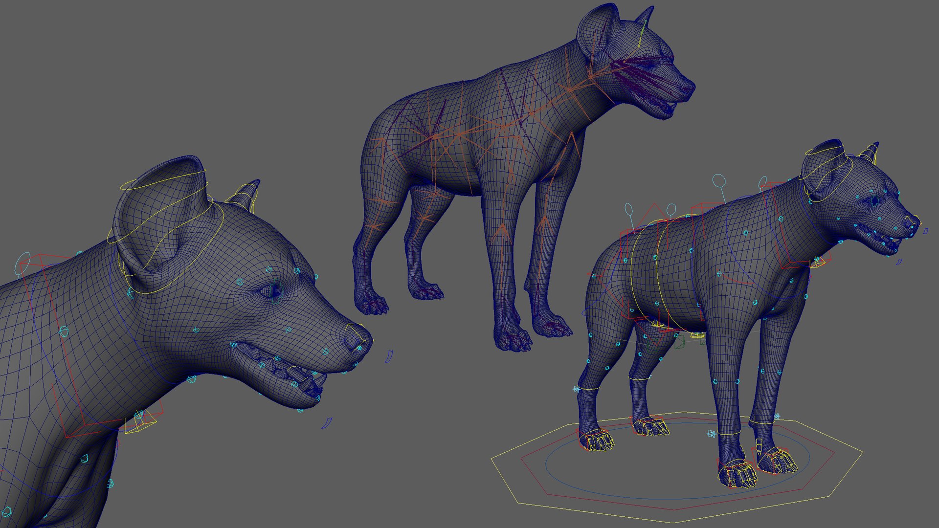 3D Hyena RIG Maya 2023 Xgen-core - TurboSquid 2348693