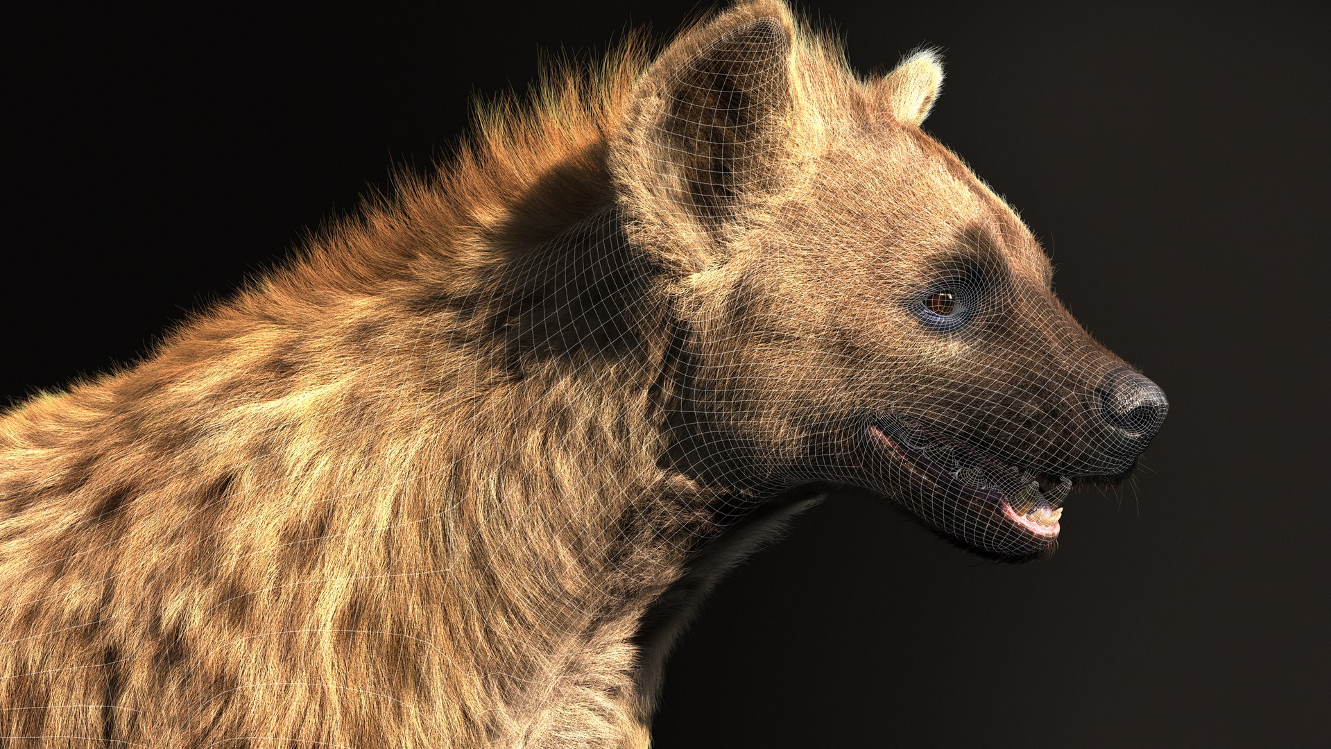 3D Hyena RIG Maya 2023 Xgen-core - TurboSquid 2348693
