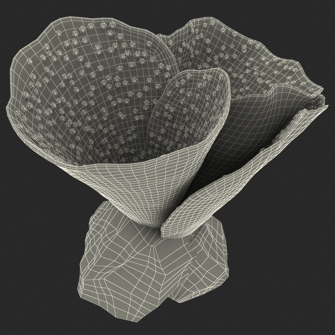 Ice Cream Cone Coral 3ds