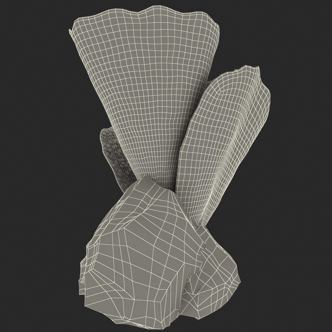 Ice Cream Cone Coral 3ds