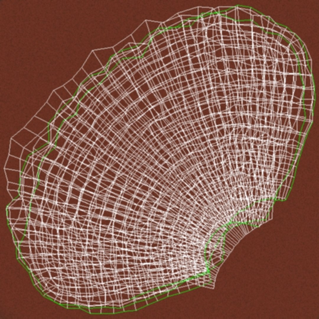 Ice Cream Cone Coral 3ds