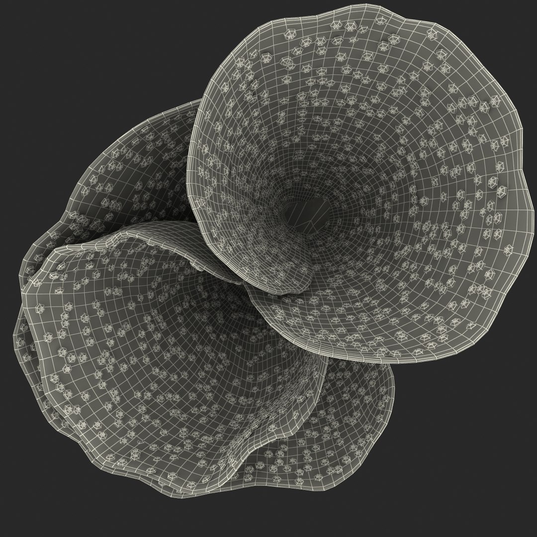 Ice Cream Cone Coral 3ds