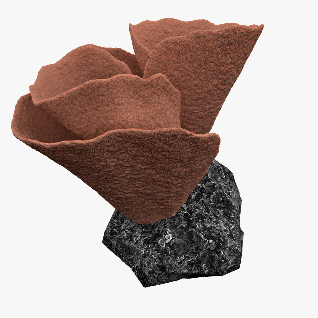 Ice Cream Cone Coral 3ds