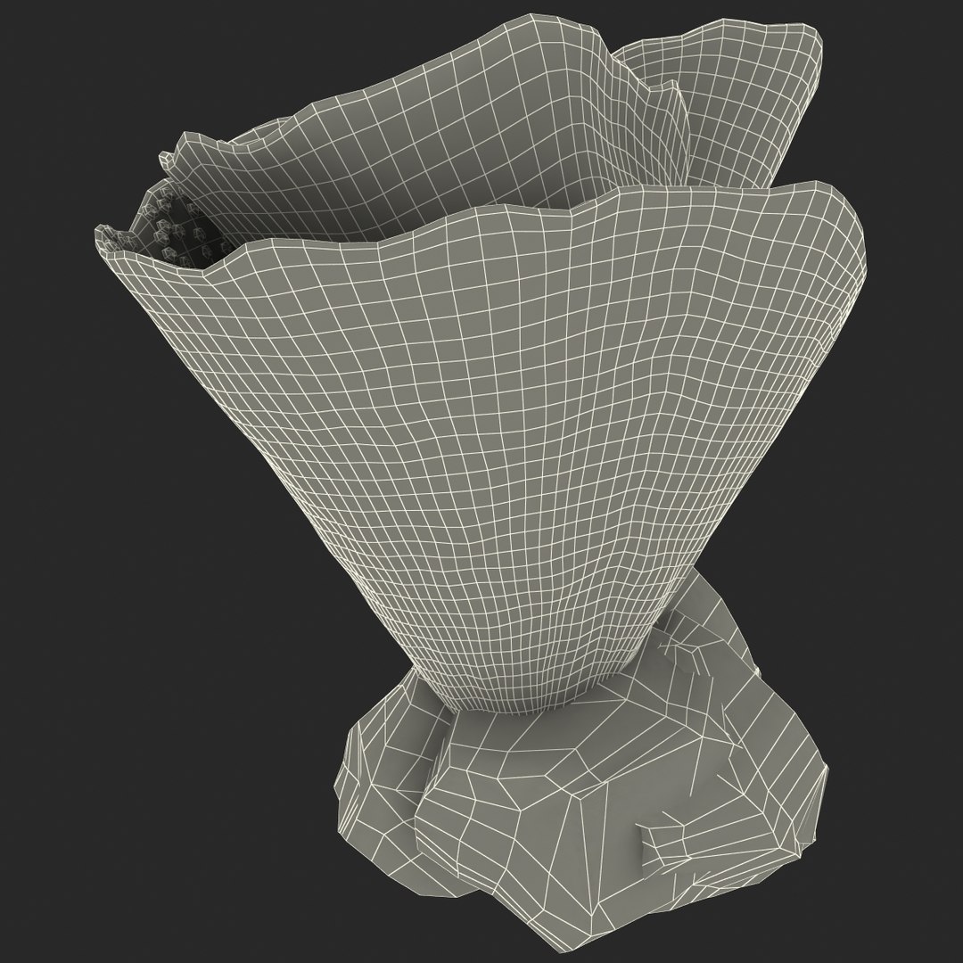 Ice Cream Cone Coral 3ds