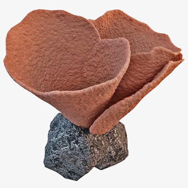 ice cream cone coral 3ds