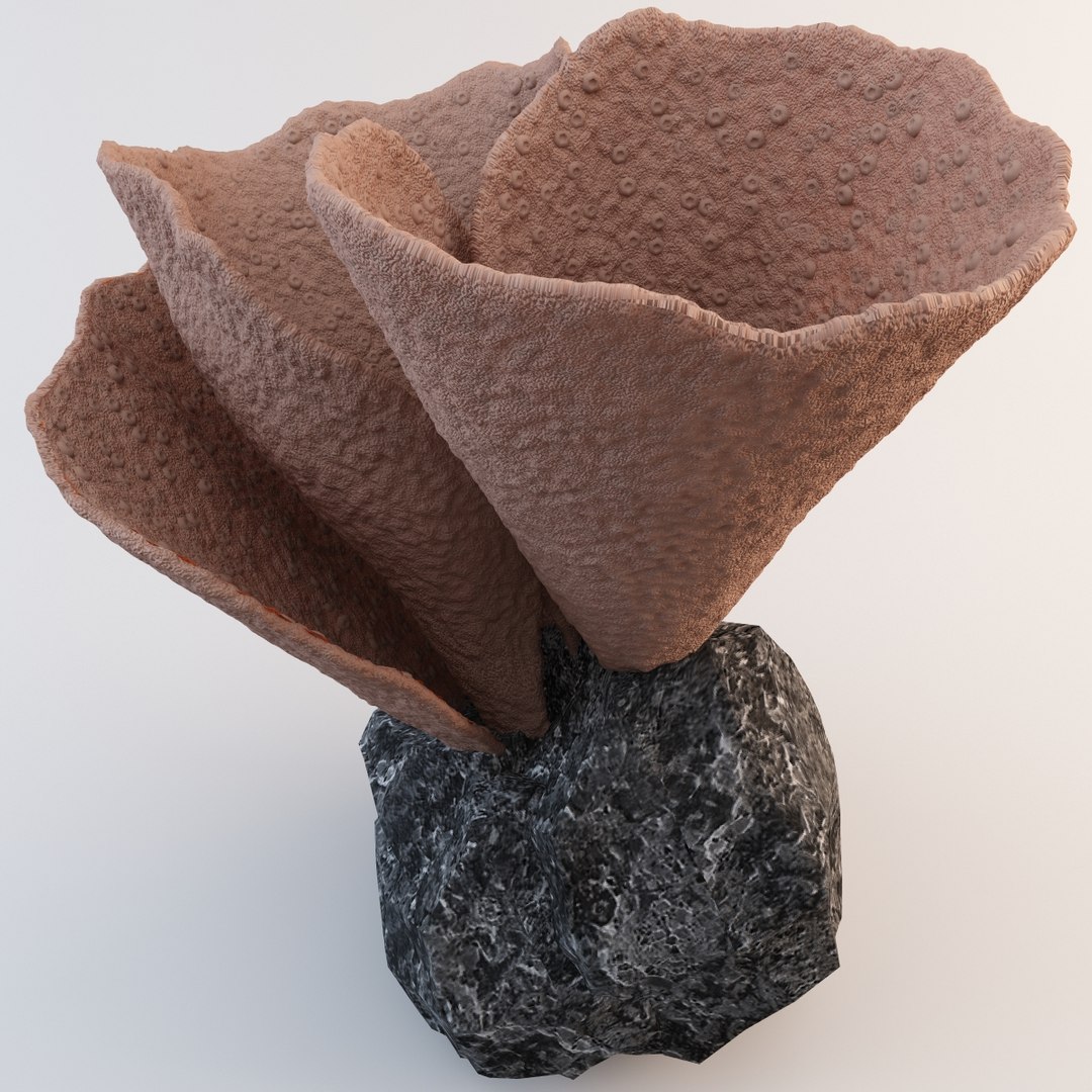 Ice Cream Cone Coral 3ds