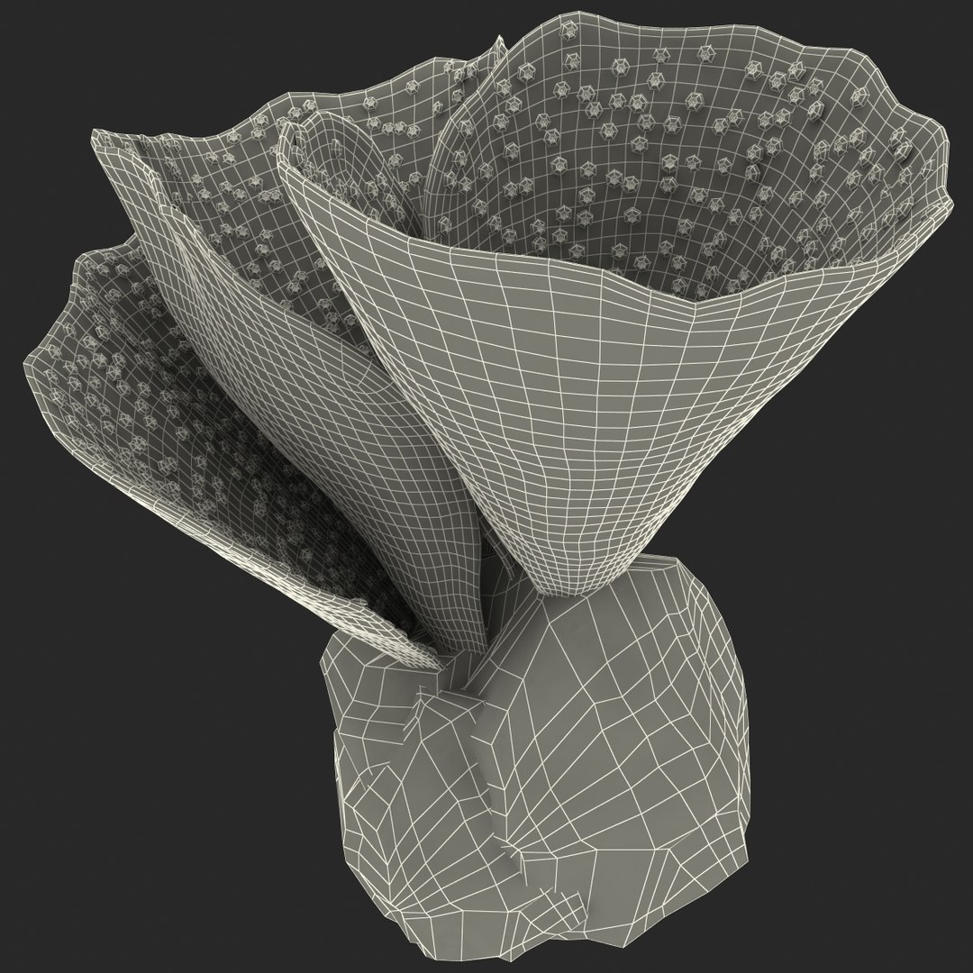 Ice Cream Cone Coral 3ds