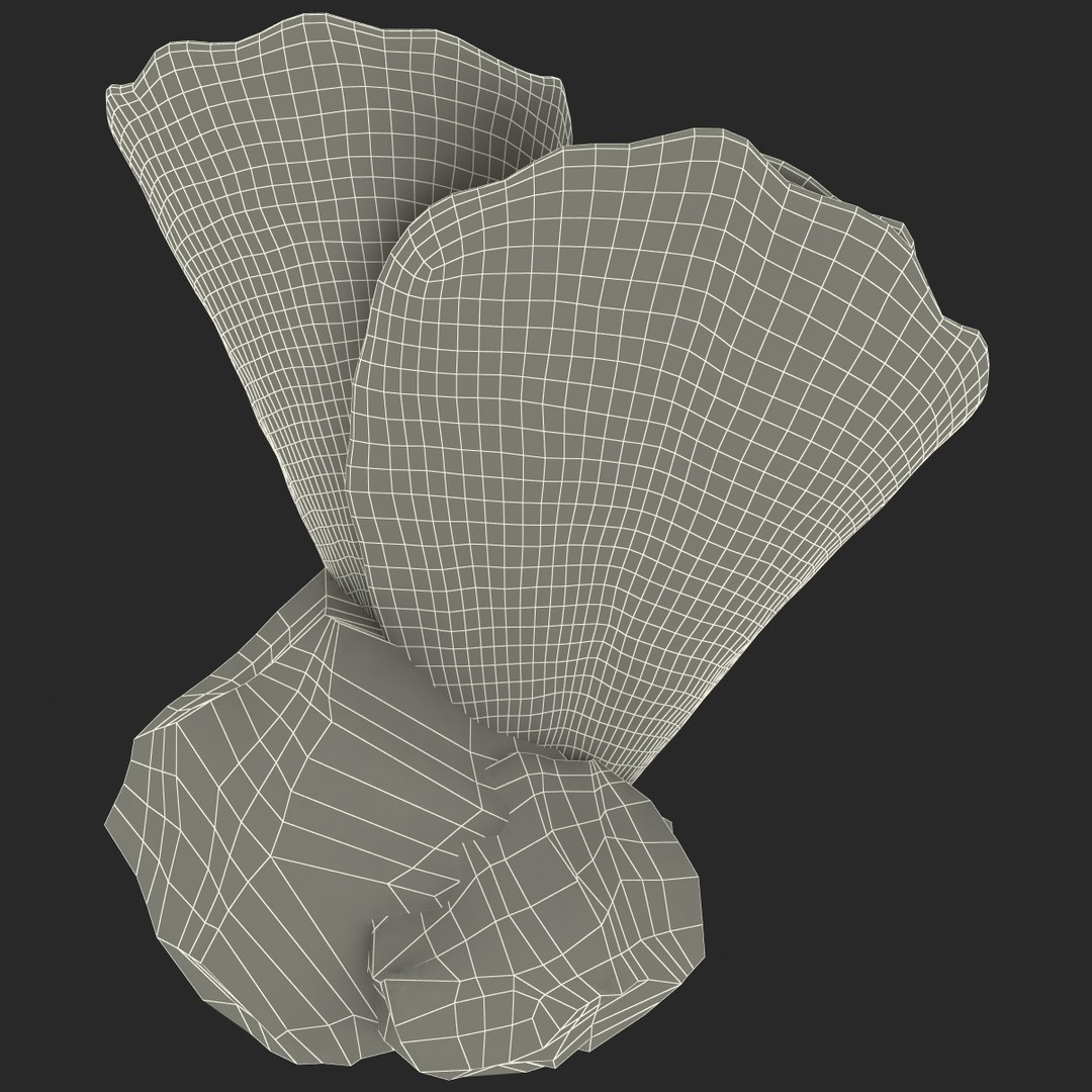 Ice Cream Cone Coral 3ds