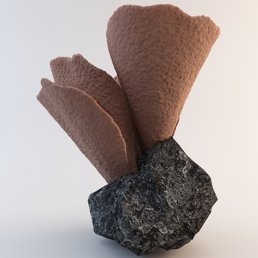 Ice Cream Cone Coral 3ds