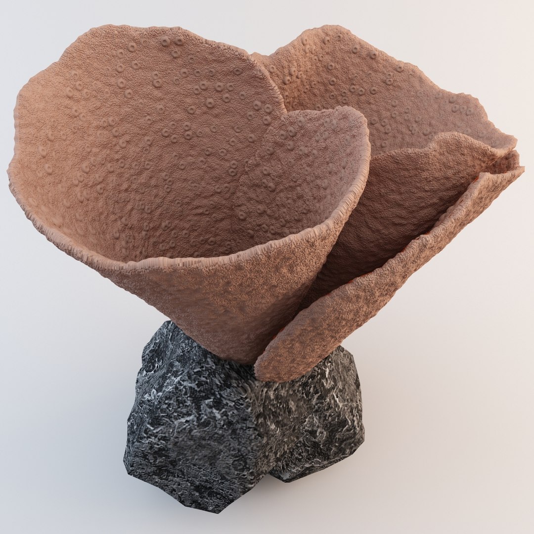 Ice Cream Cone Coral 3ds