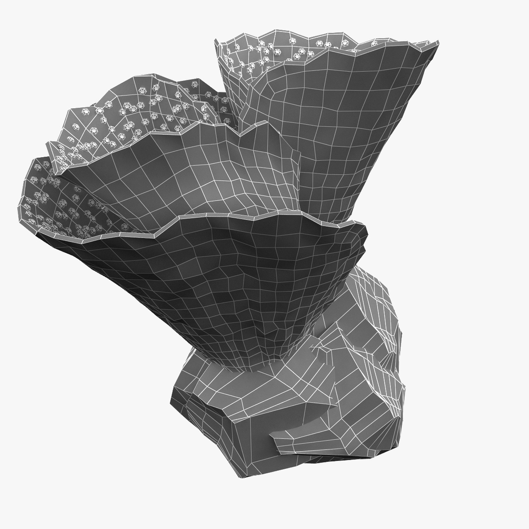 Ice Cream Cone Coral 3ds