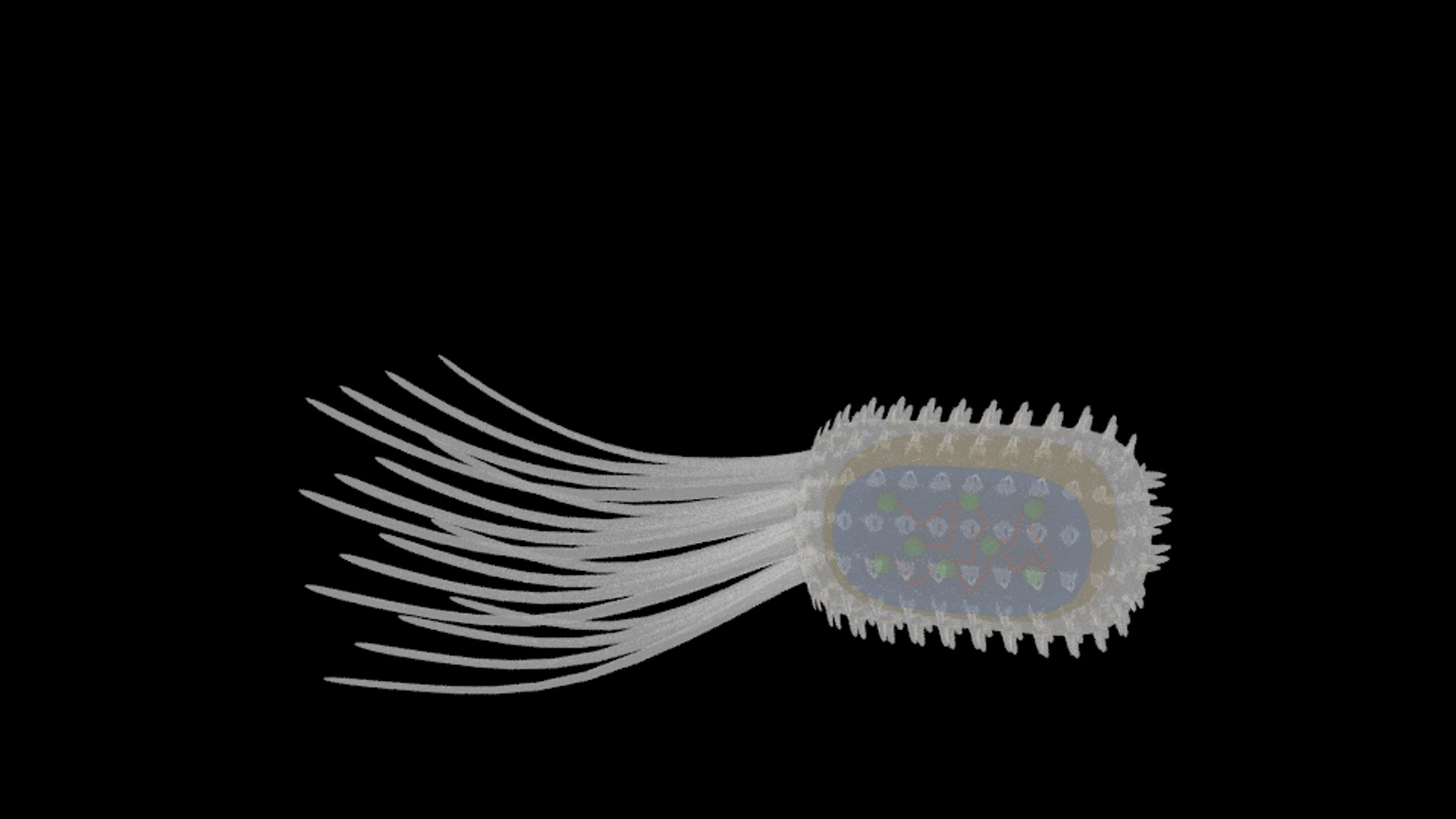 3d germ intruder