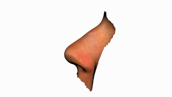 Nose Scan High Quality 3D model - TurboSquid 1756798