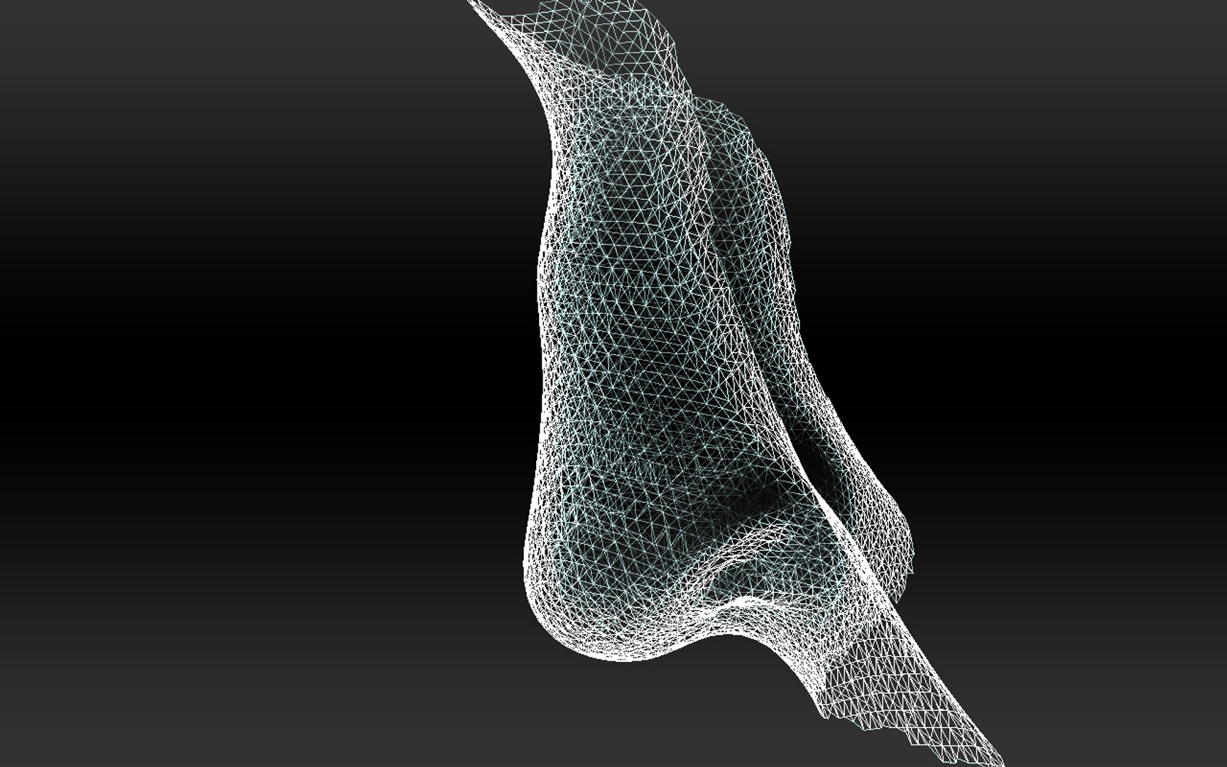 Nose Scan High Quality 3D Model - TurboSquid 1756798