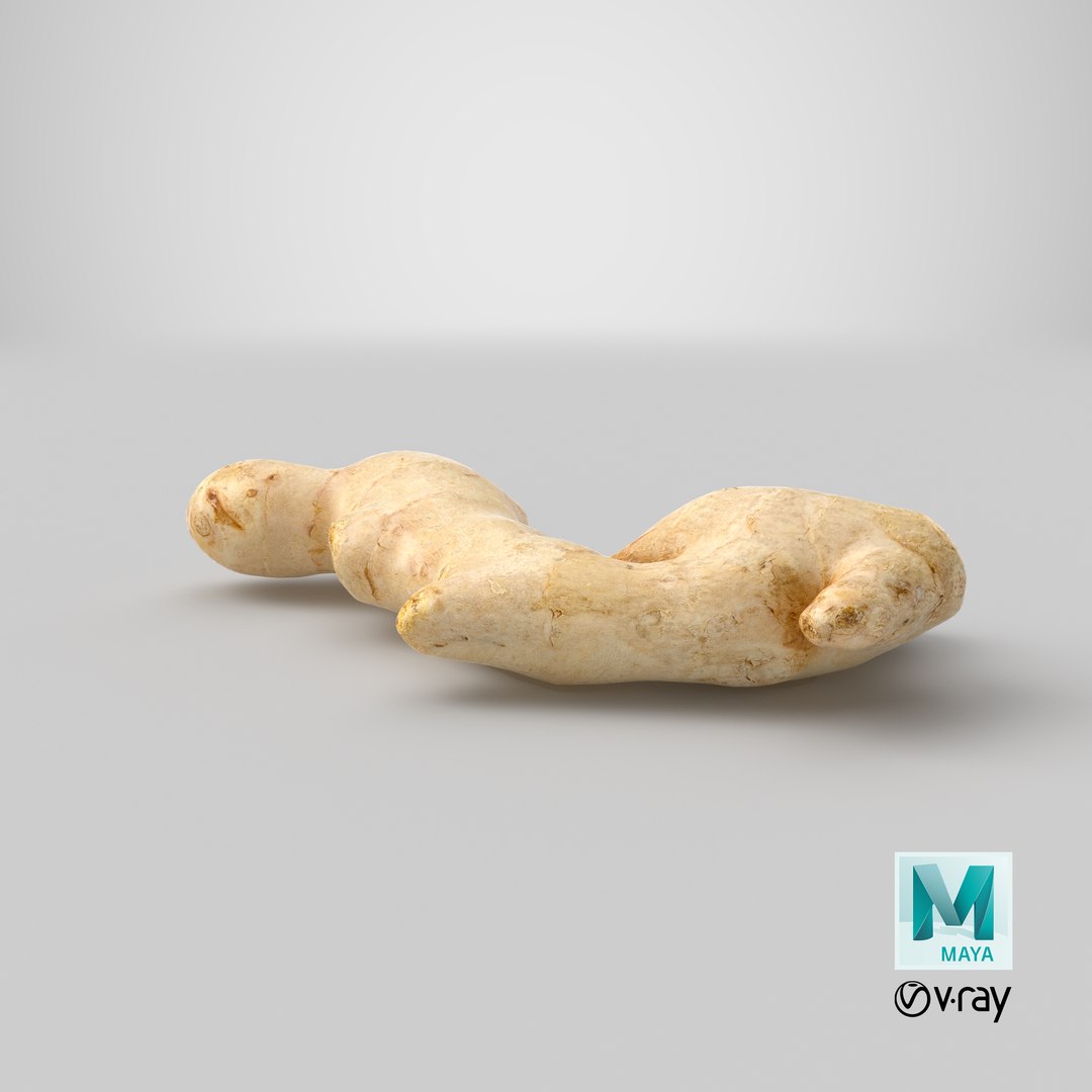 3D ginger root 04 - TurboSquid 1502768