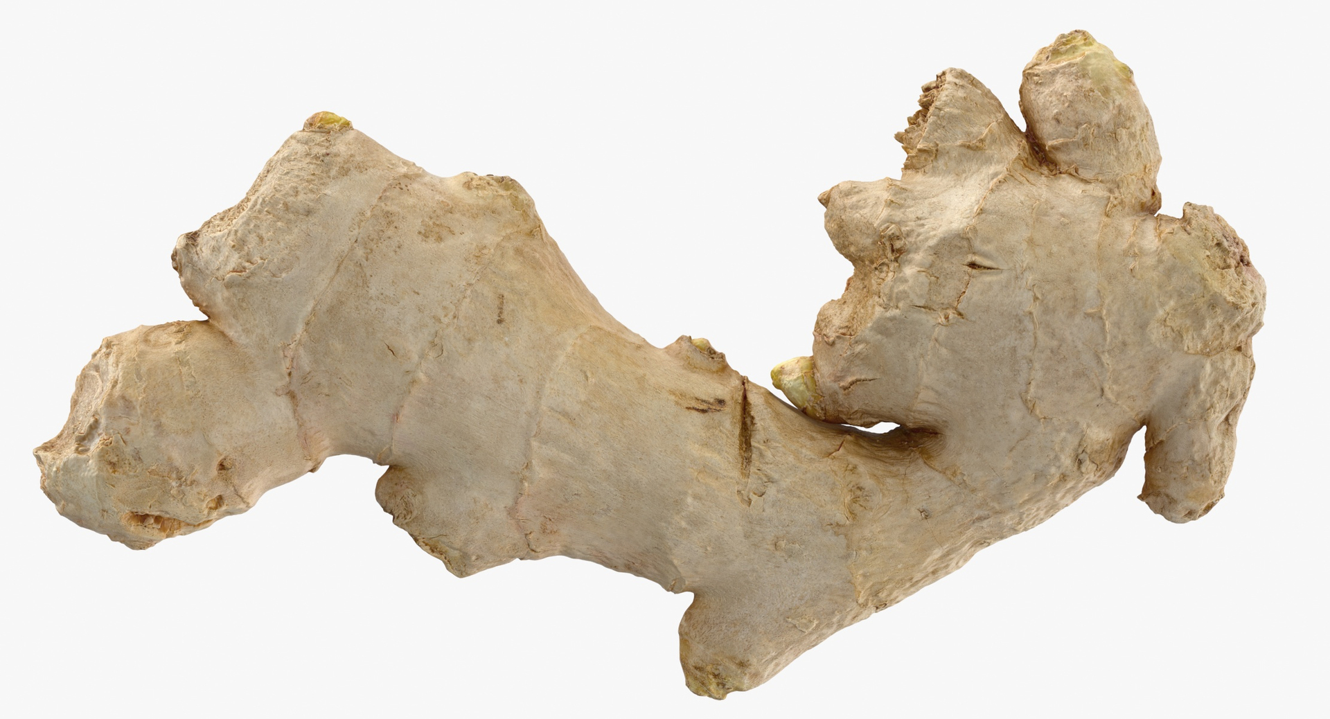 3D ginger root 04 - TurboSquid 1502768