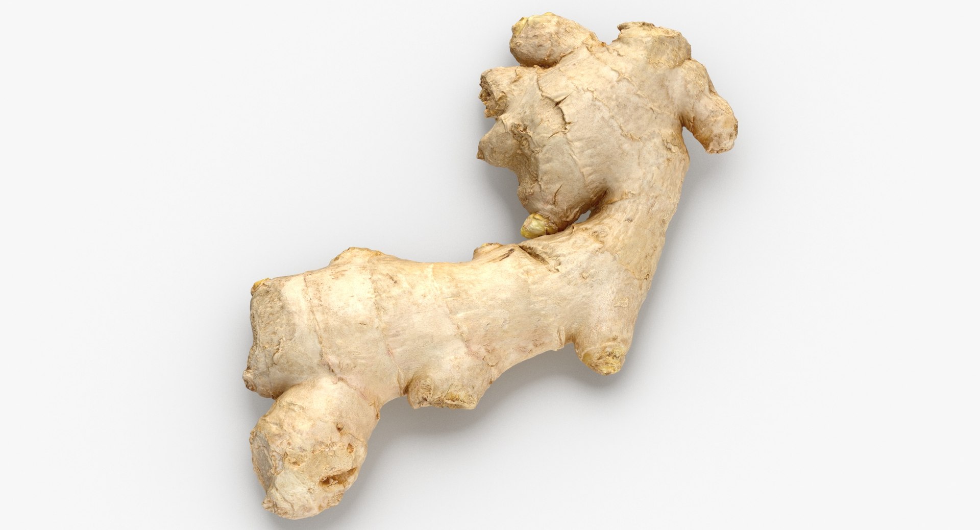 3D ginger root 04 - TurboSquid 1502768