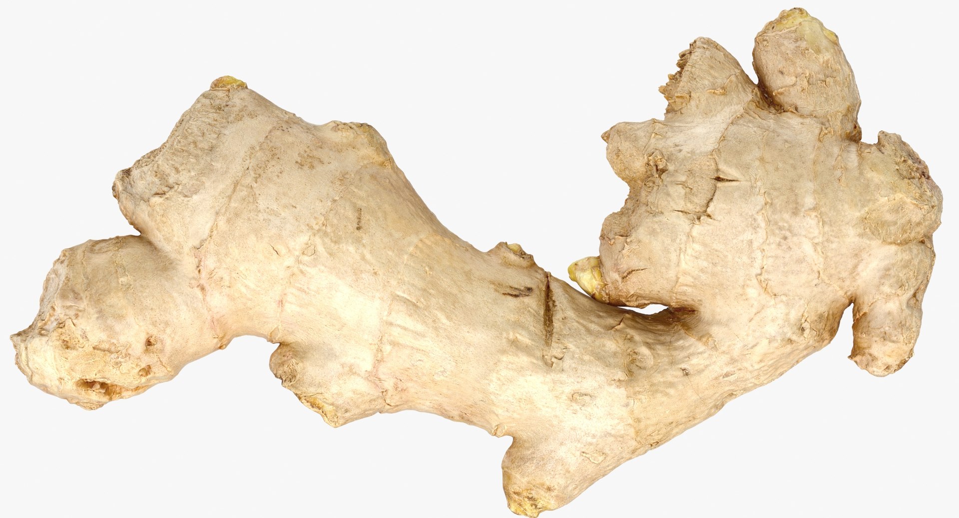 3D ginger root 04 - TurboSquid 1502768