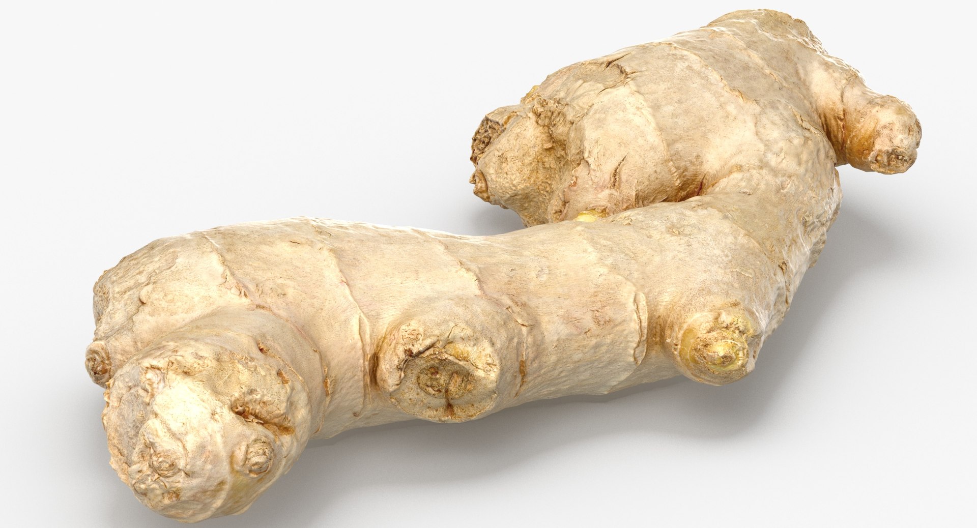 3D ginger root 04 - TurboSquid 1502768