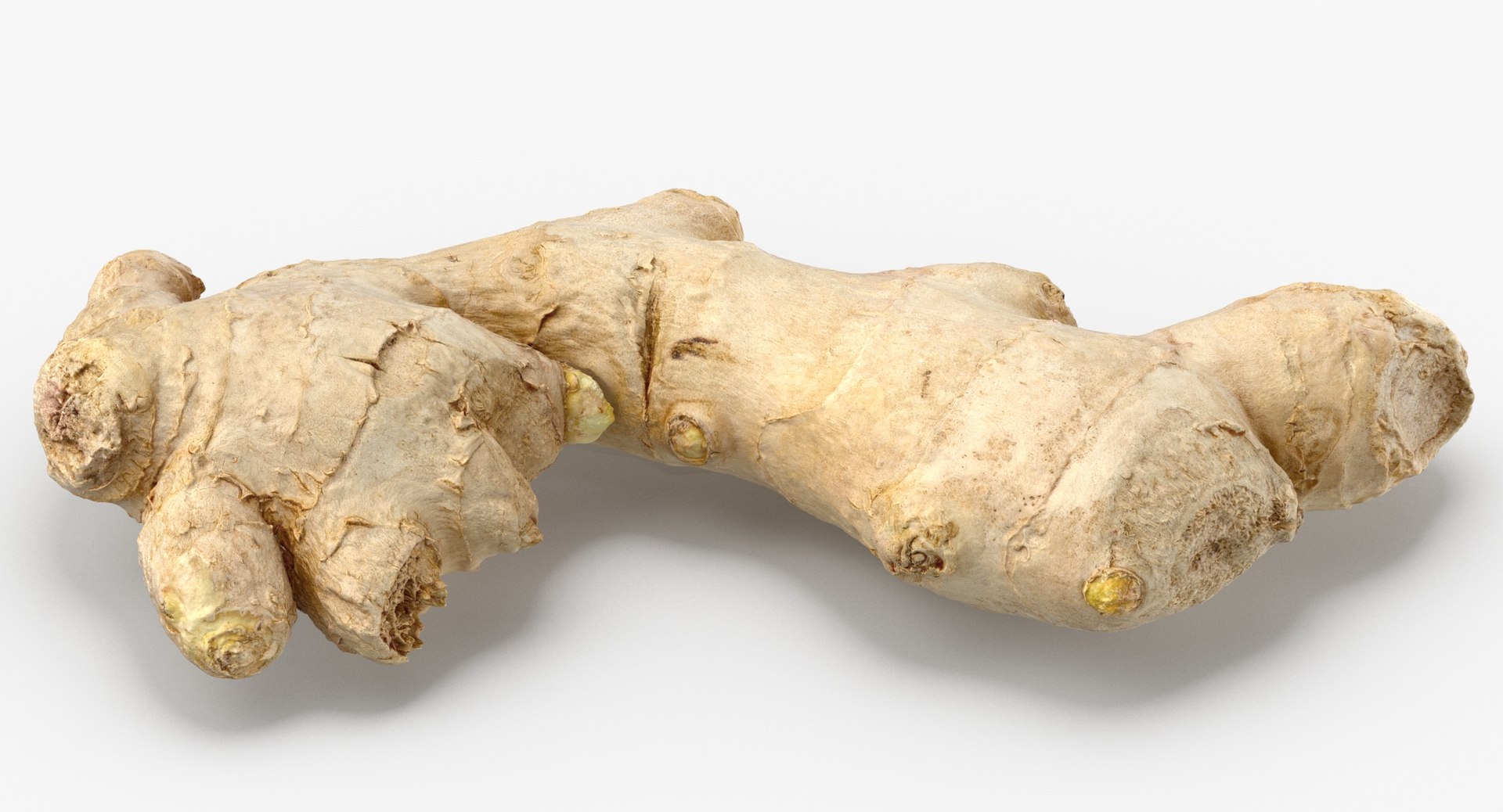 3D ginger root 04 - TurboSquid 1502768