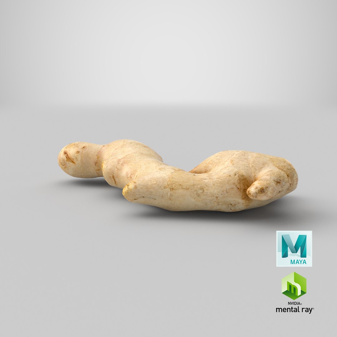 3D ginger root 04 - TurboSquid 1502768