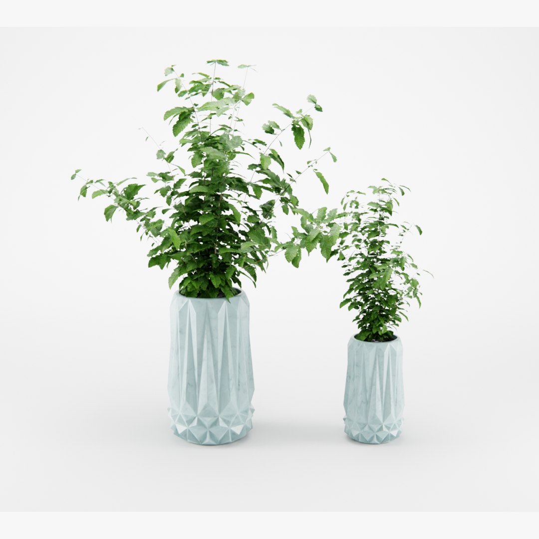 DECORATIVE PLANTS 3D - TurboSquid 2030850