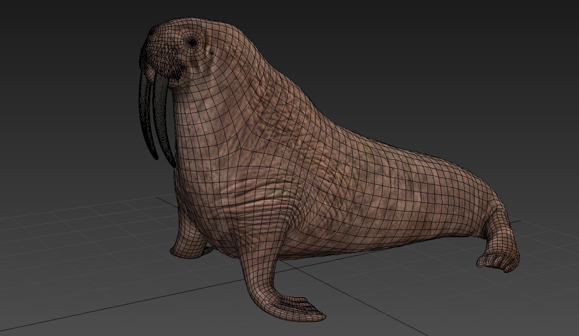3D Model Walrus - TurboSquid 1353141