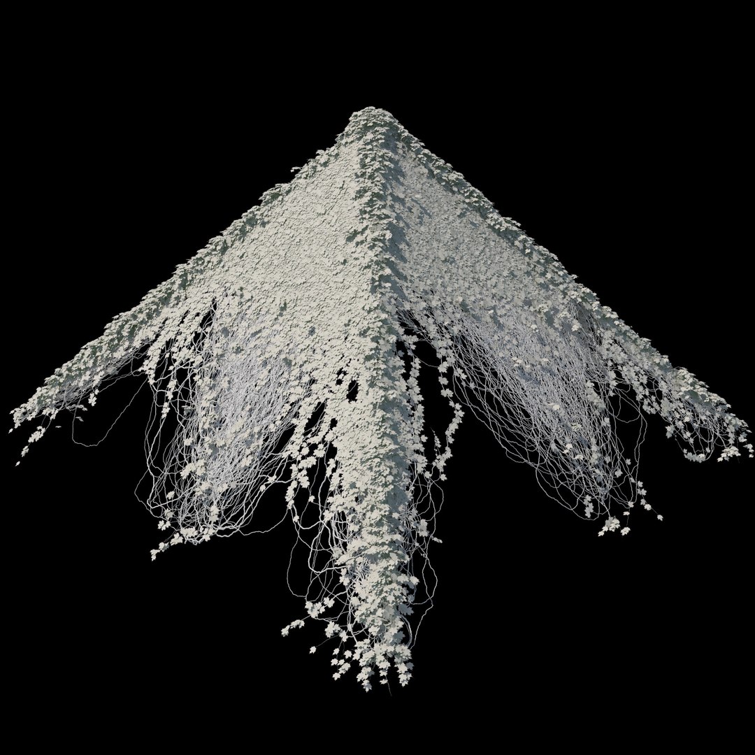 3D Model Realistic Ivy Pyramid - TurboSquid 1151647