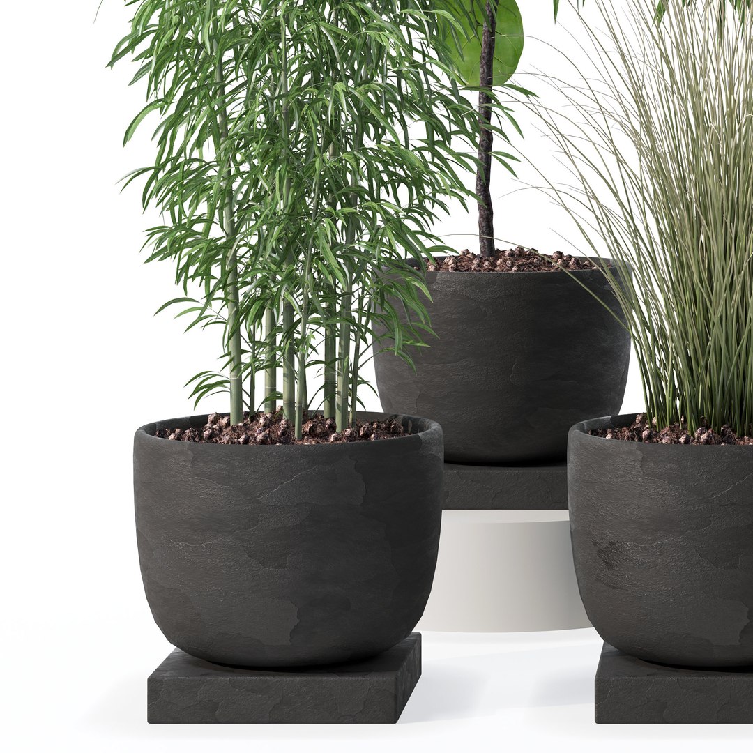 20 Photorealistic Flowers for Interiors - set 120 123 137 142 model ...