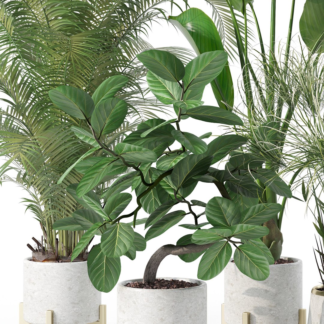 20 Photorealistic Flowers for Interiors - set 120 123 137 142 model ...