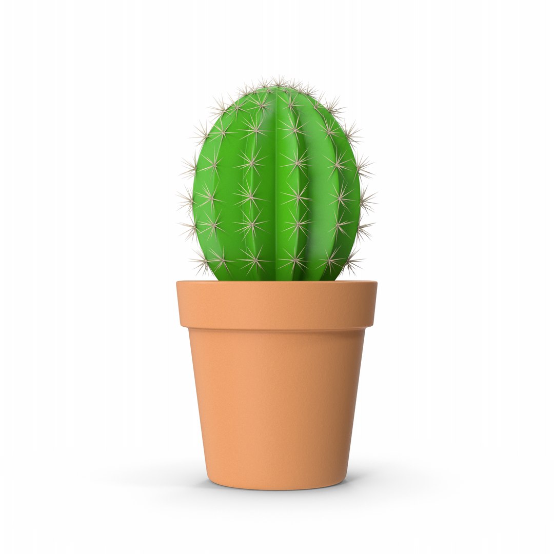 Cactus In Pot 3D Model - TurboSquid 2225576