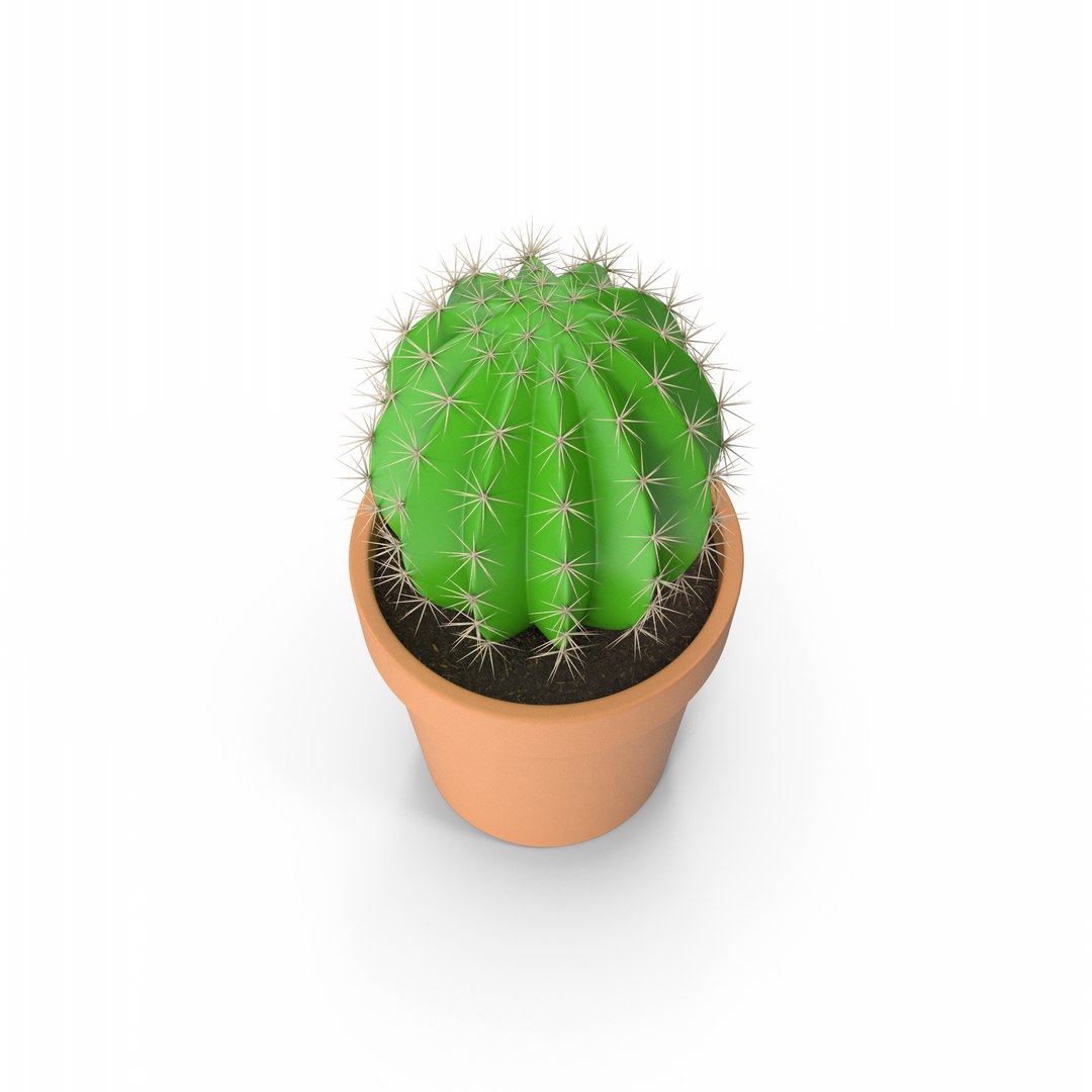 Cactus In Pot 3D Model - TurboSquid 2225576