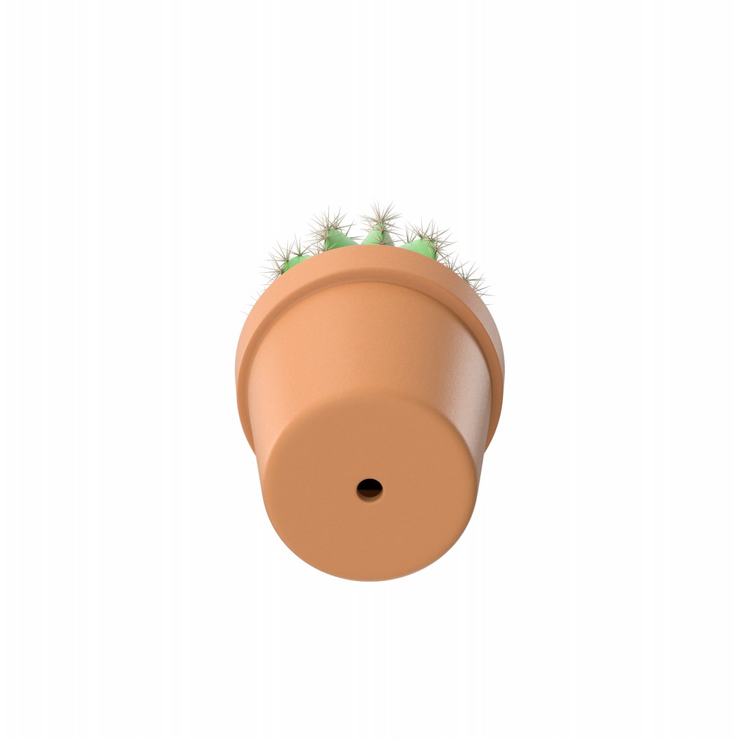 Cactus In Pot 3D Model - TurboSquid 2225576