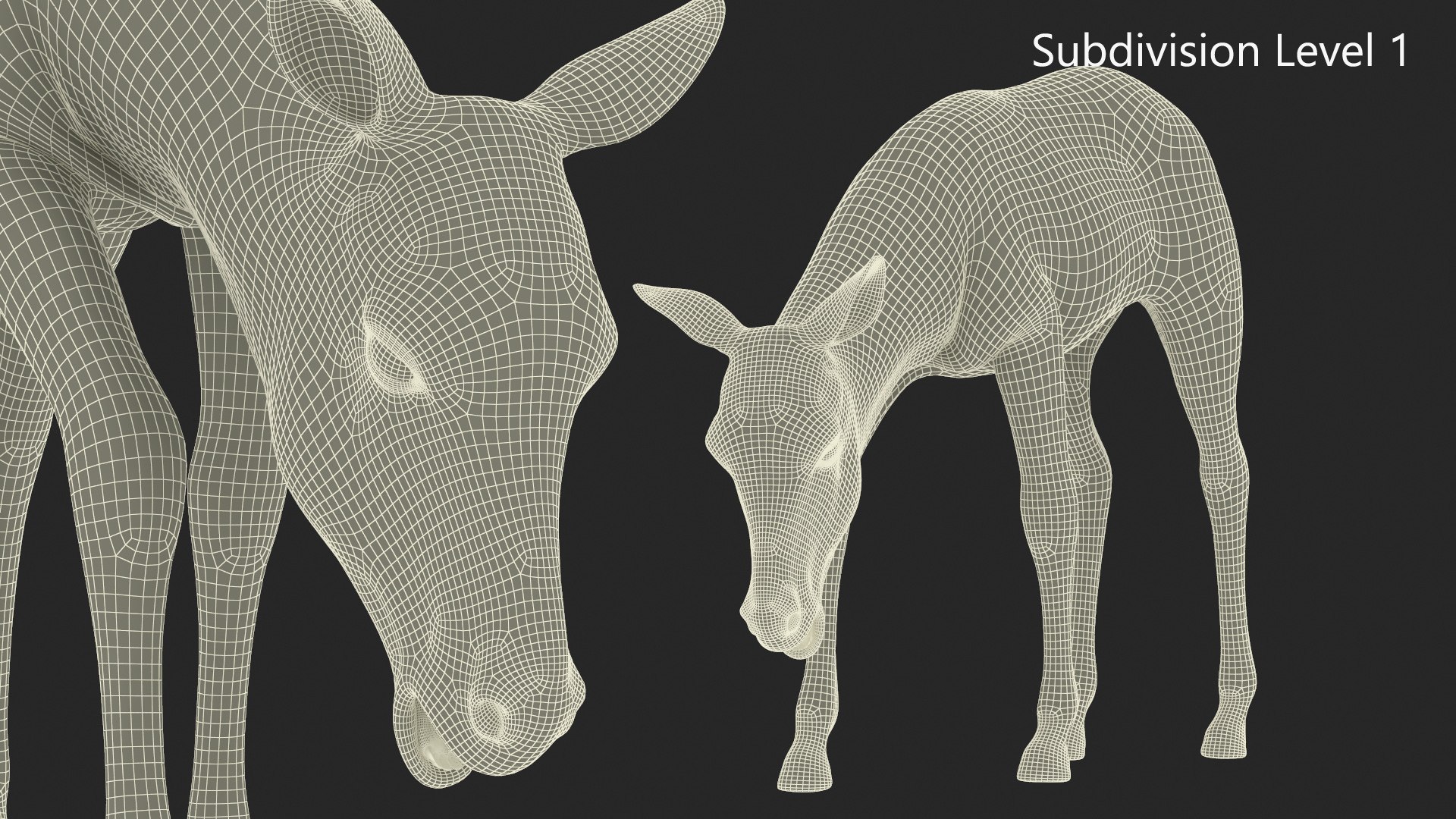 3D Young Zebra Eating Fur Model - TurboSquid 2366282