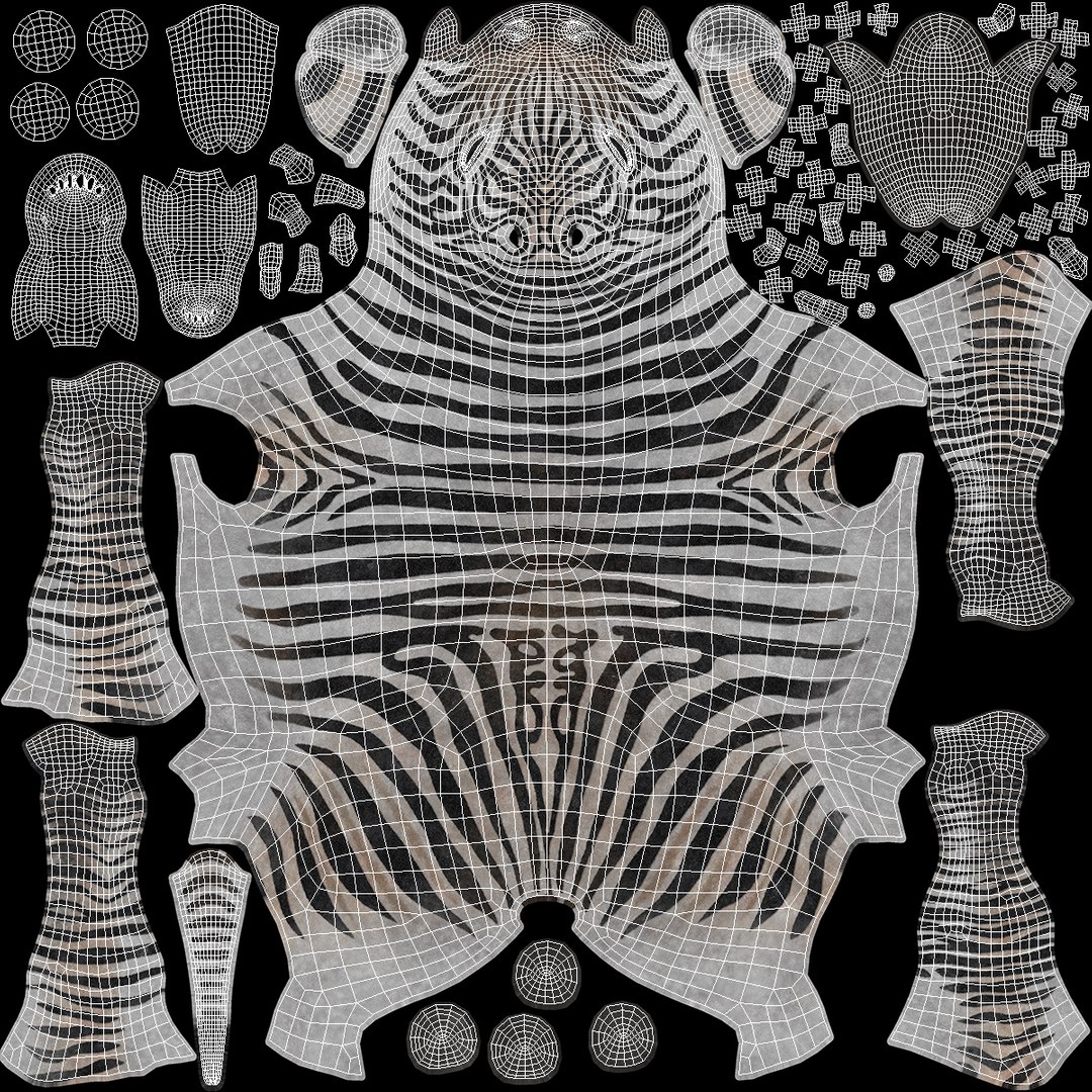 3D Young Zebra Eating Fur Model - TurboSquid 2366282