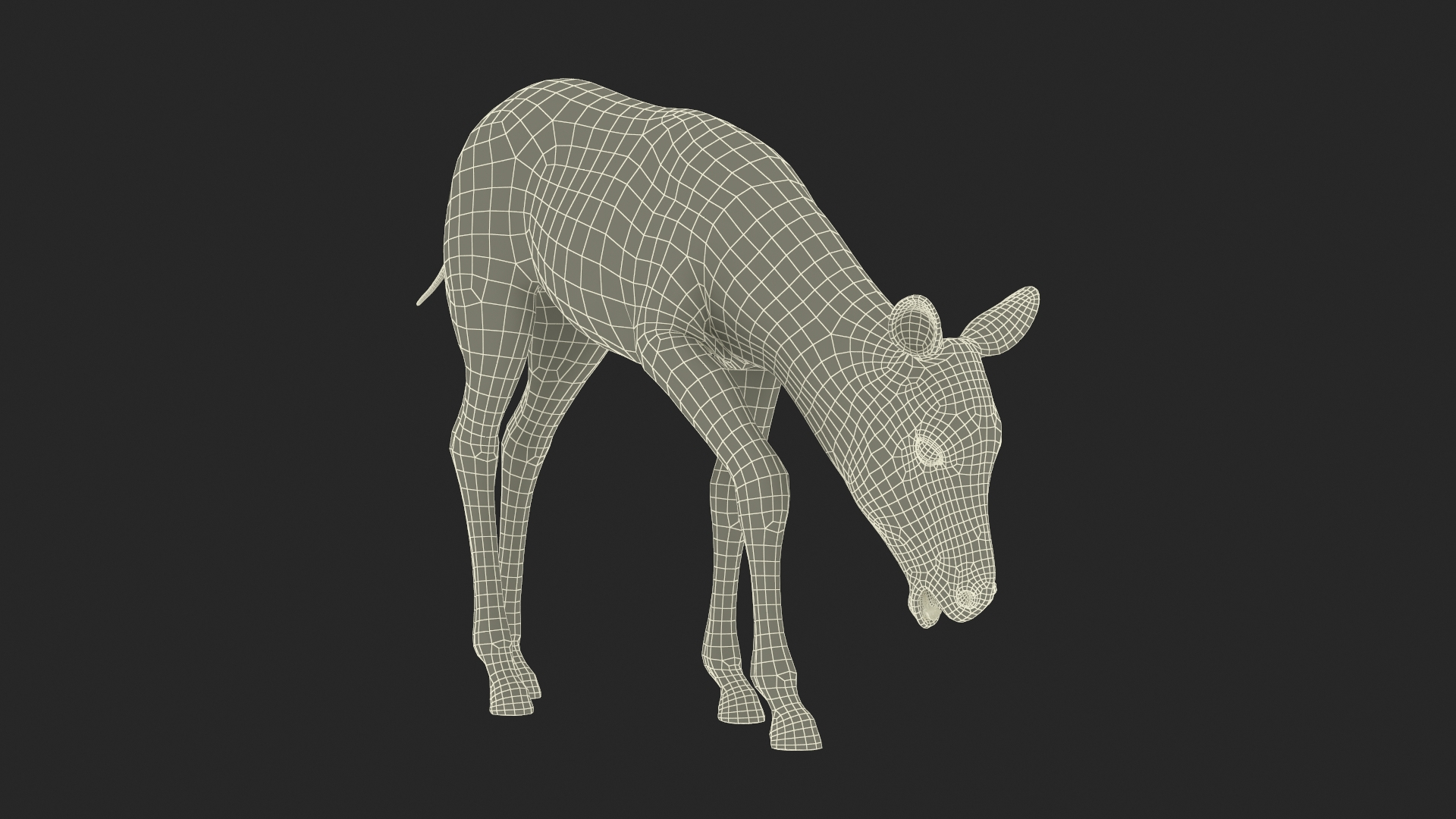 3D Young Zebra Eating Fur Model - TurboSquid 2366282