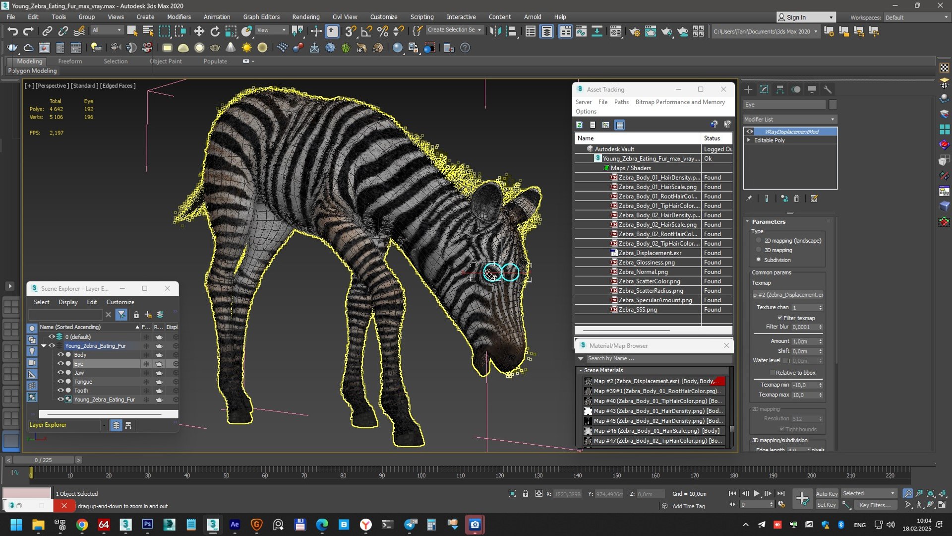 3D Young Zebra Eating Fur Model - TurboSquid 2366282