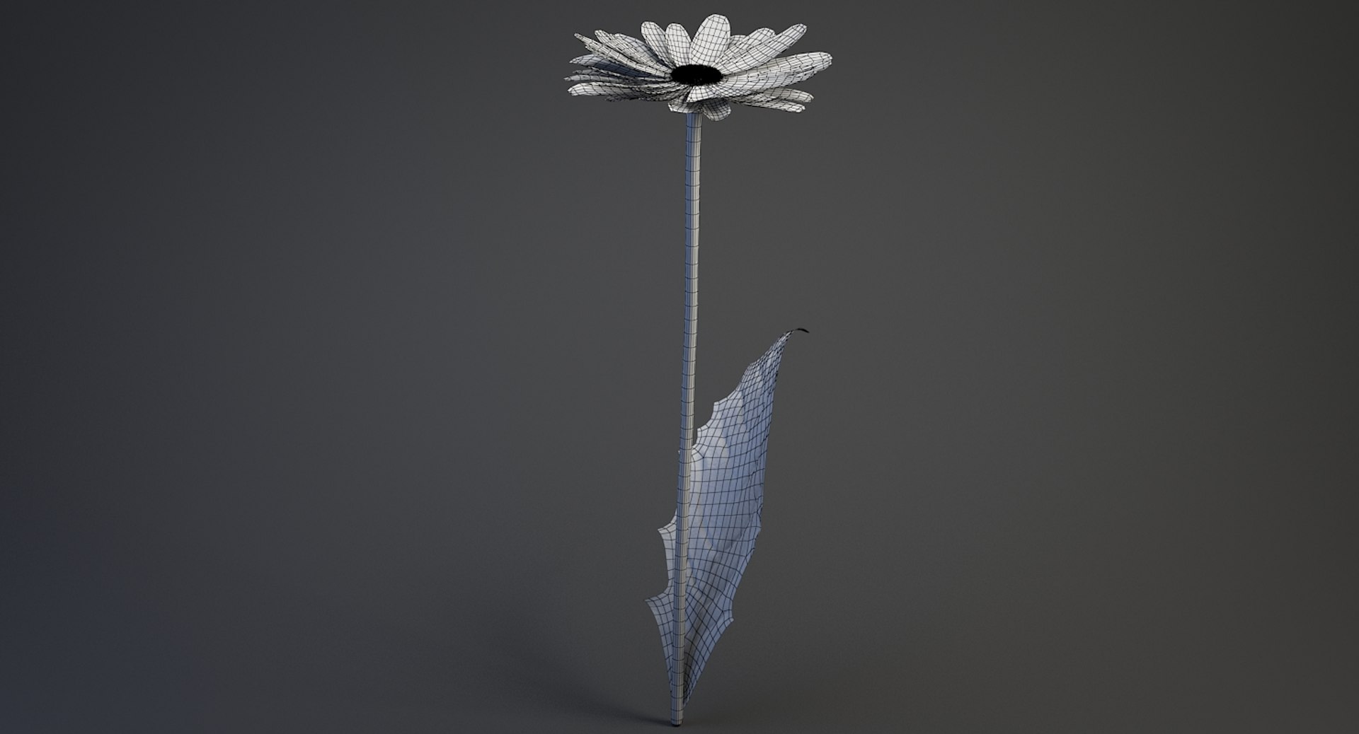 Realistic chamomile flower 3D model - TurboSquid 1223931