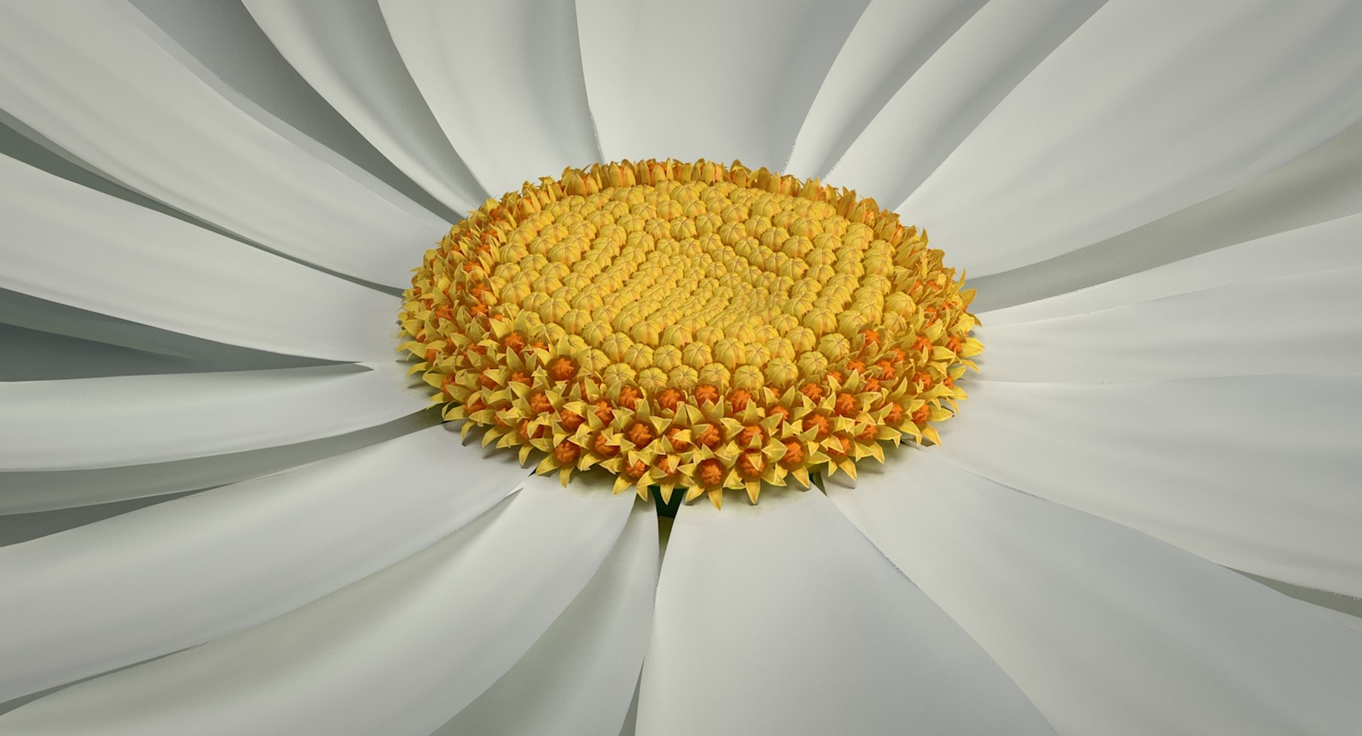Realistic chamomile flower 3D model - TurboSquid 1223931