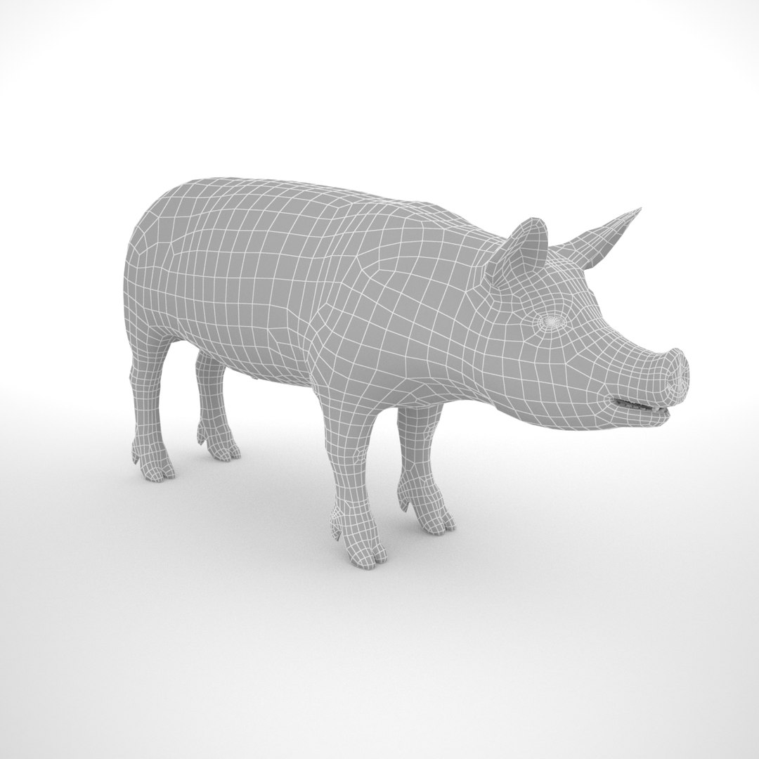 3D Male Pig Model - TurboSquid 1269356