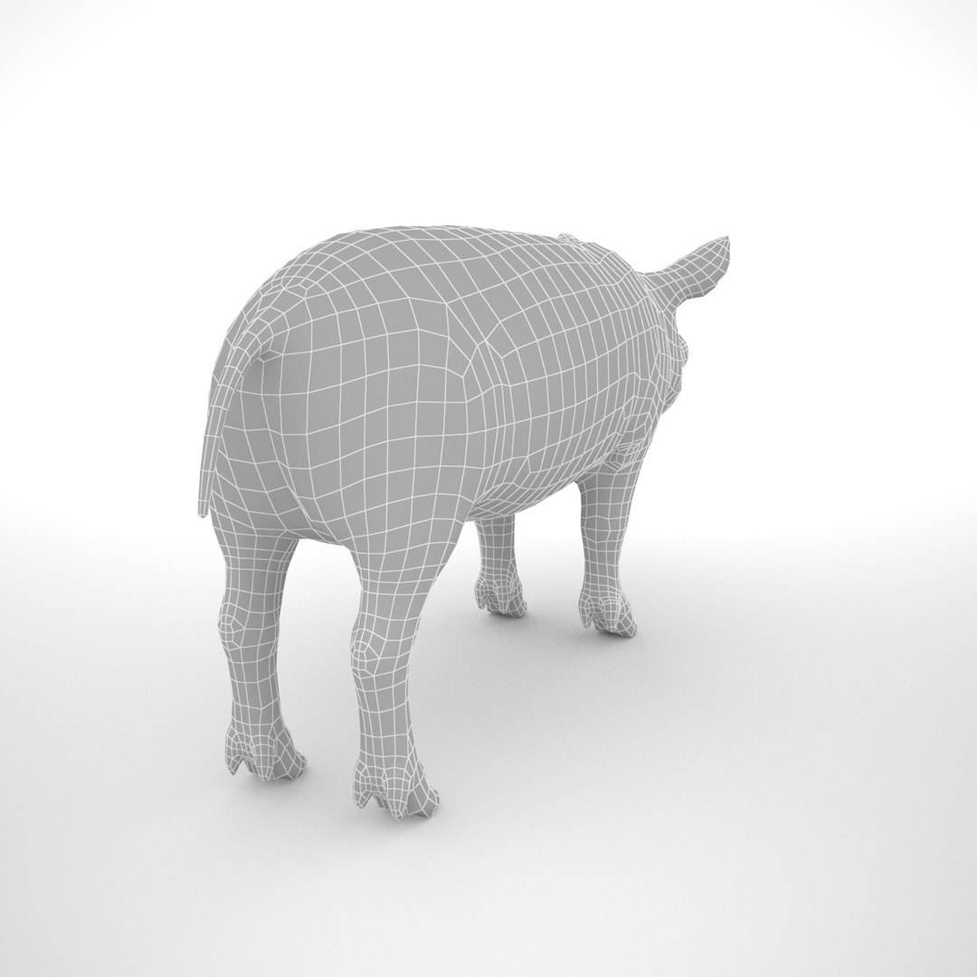 3D Male Pig Model - TurboSquid 1269356