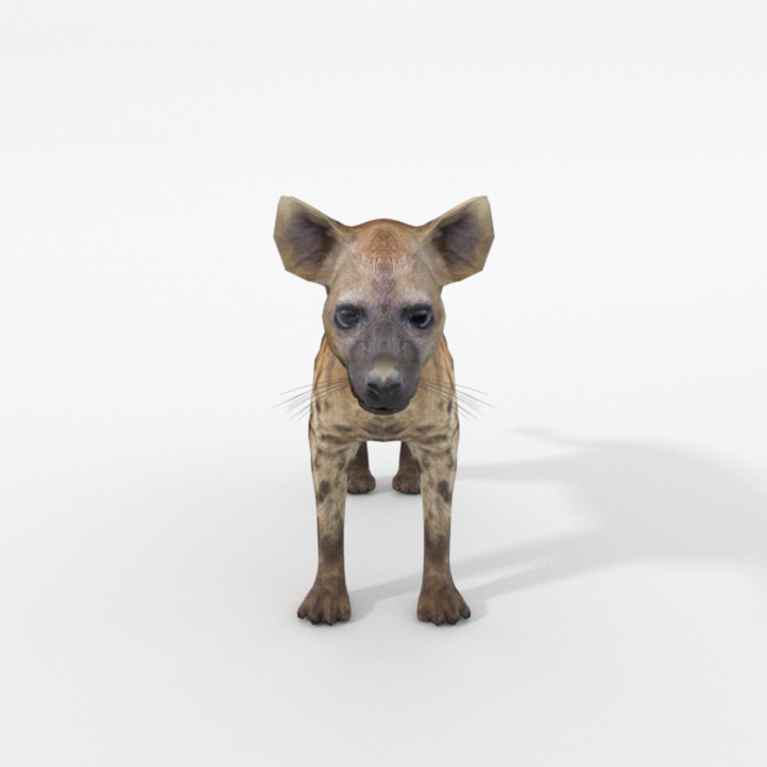 3D Model Hyena - TurboSquid 1340899