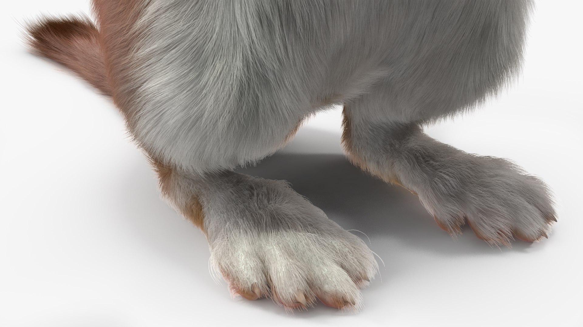 Beringian Stoat Brown Standing Pose Fur Model - TurboSquid 2207738