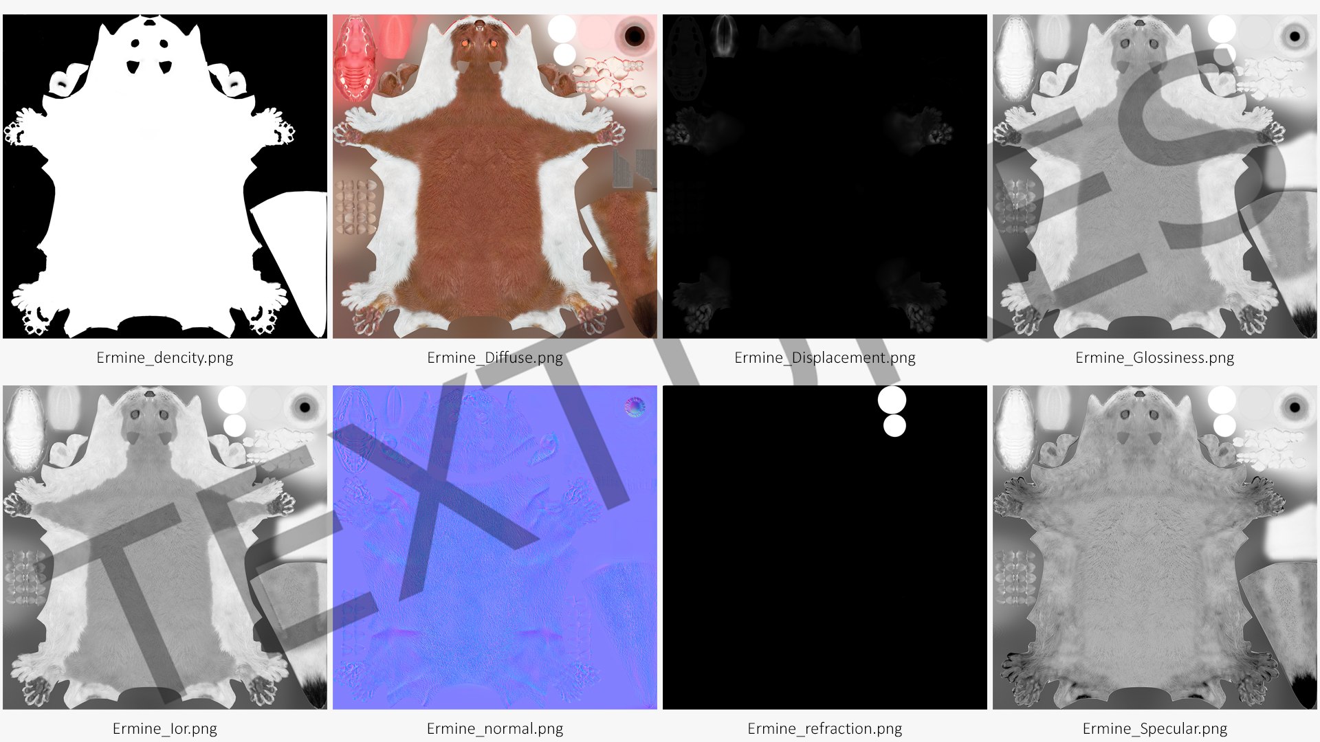 Beringian Stoat Brown Standing Pose Fur Model - TurboSquid 2207738