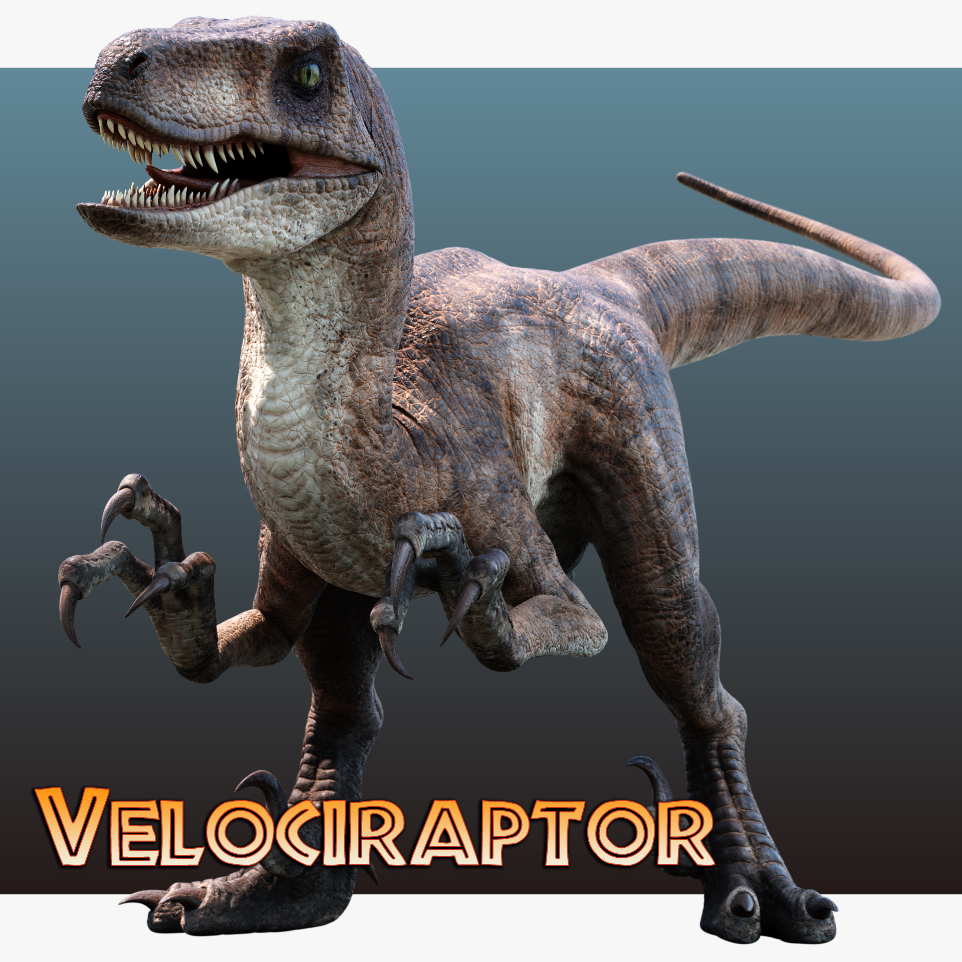 3D velociraptor animation raptor - TurboSquid 1317553