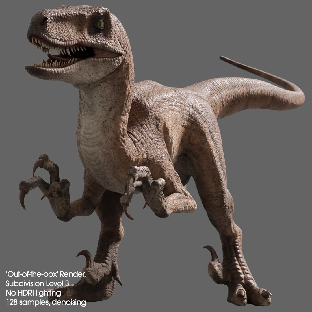 3D Velociraptor Animation Raptor - TurboSquid 1317553