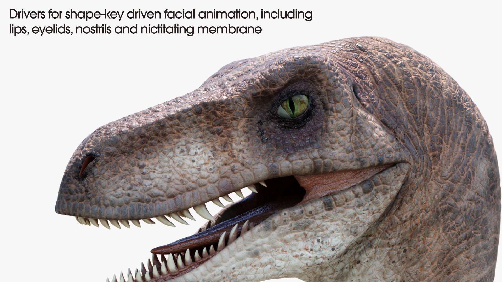 3D Velociraptor Animation Raptor - TurboSquid 1317553