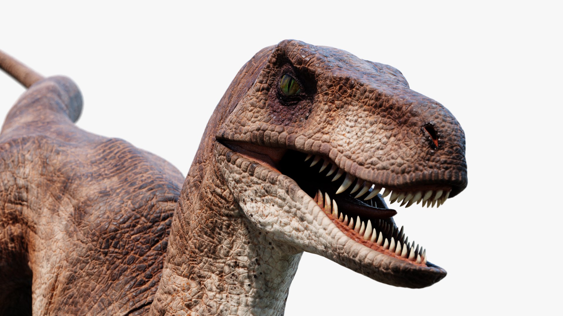 3D Velociraptor Animation Raptor - TurboSquid 1317553